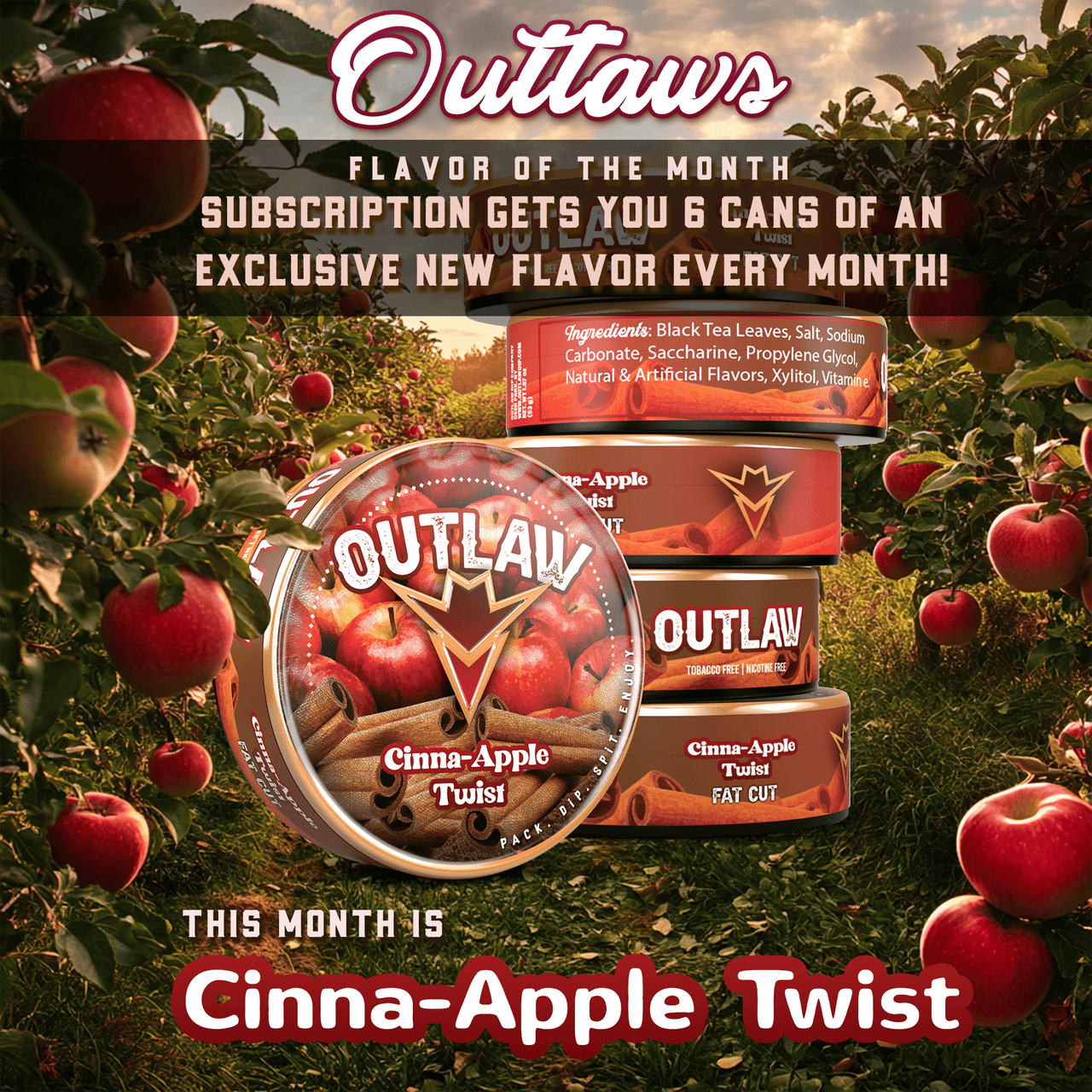 Best Tobacco Free Dip Alternatives - Long Cut & Pouches! – Outlaw Dip ...